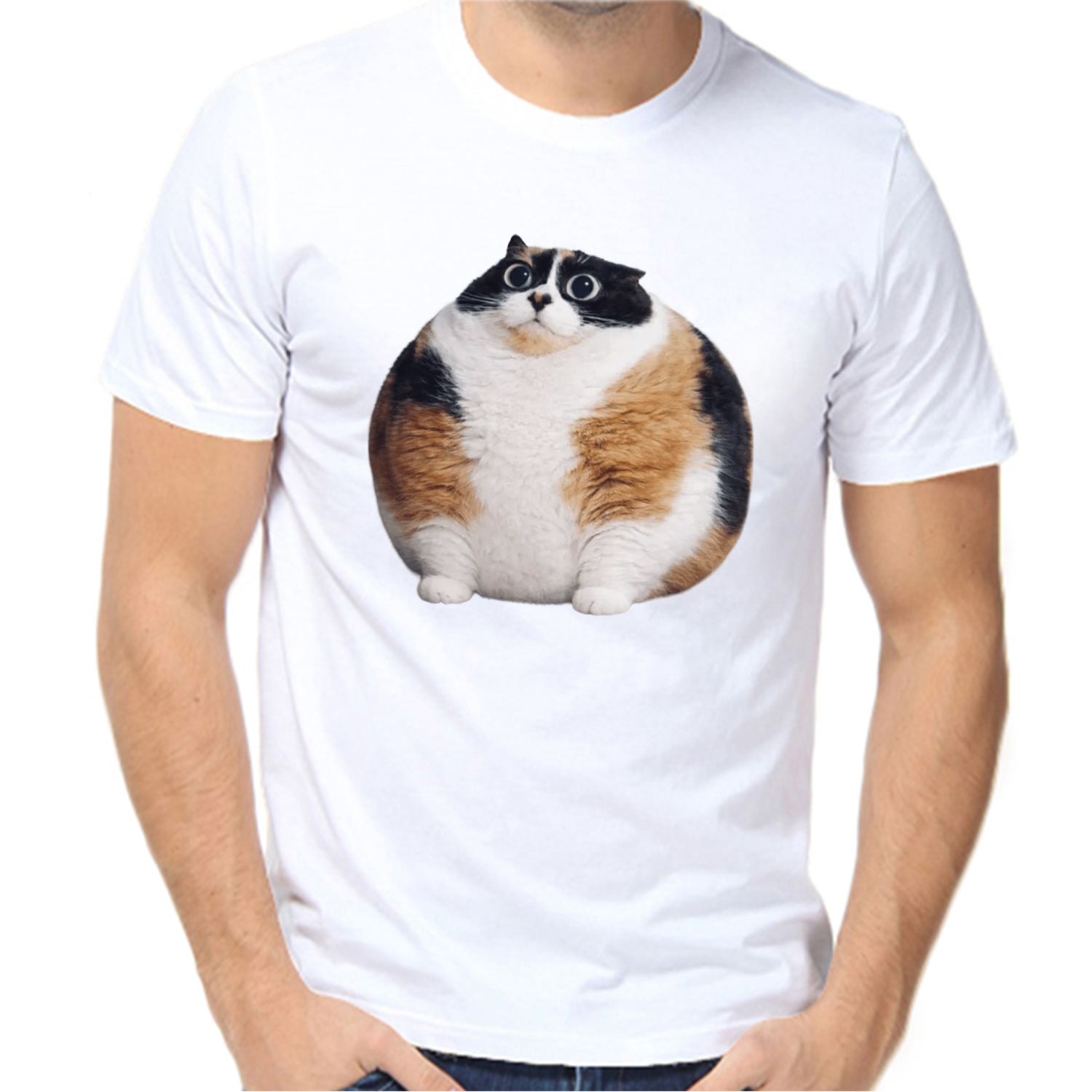 Футболка котость