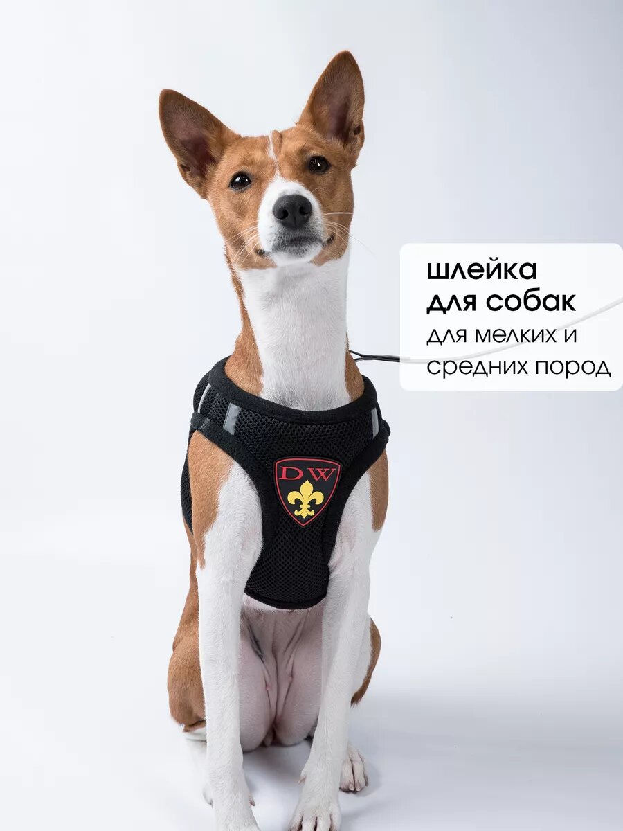Шлейка для собак