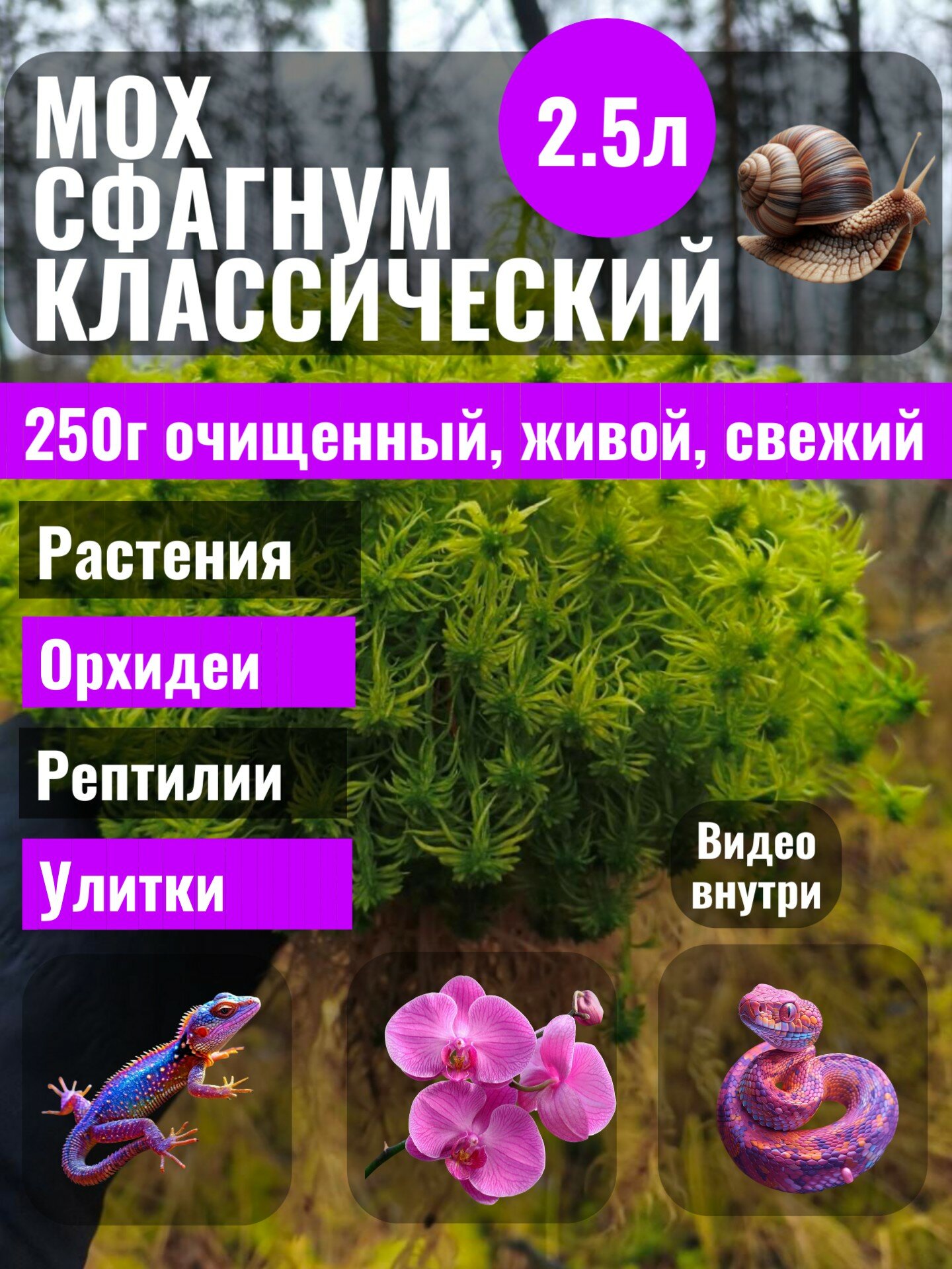 Мох сфагнум живой очищенный для улиток и орхидей, комнатных и декоративных растений 2.5 л
