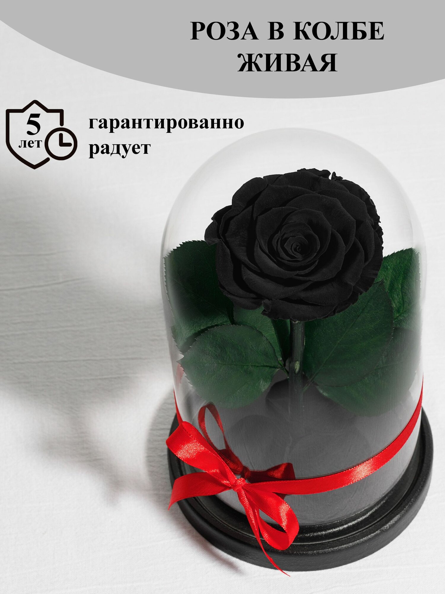 Стабилизированные цветы в стекле, Роза в колбе живая Bella черная, GIFT4YOU