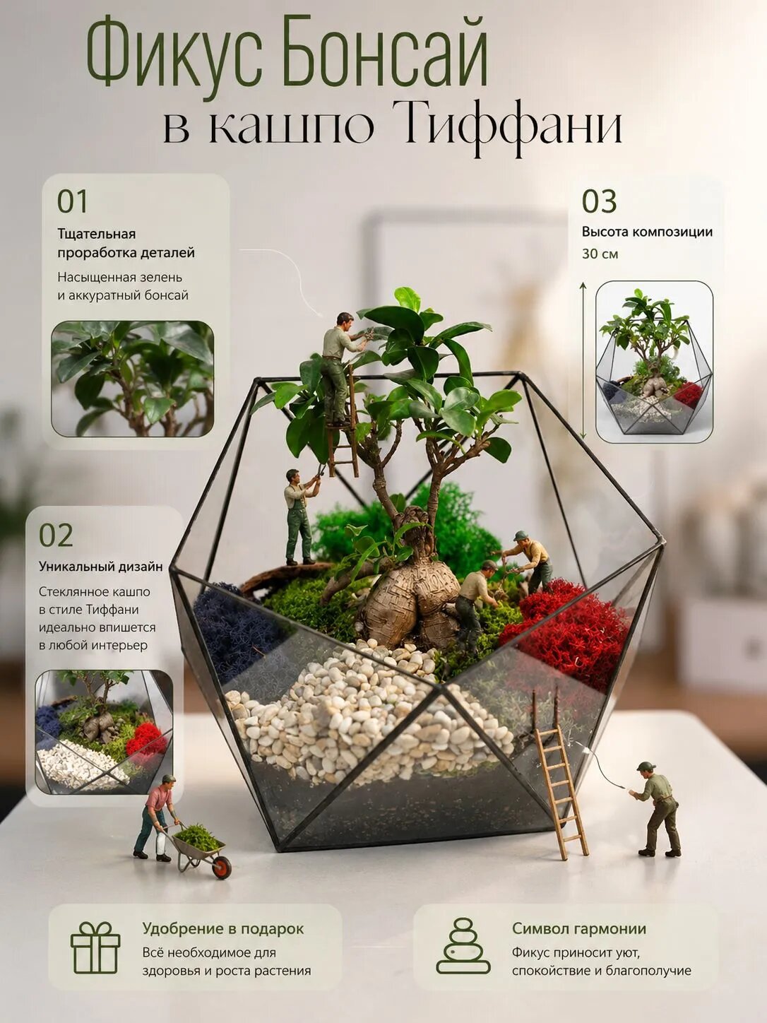Geo Glass — Фикус Микрокарпа Бонсай во флорариуме Икосаэдр Тиффани, живое дерево 30 см с мхом и камнями, подарок для интерьера
