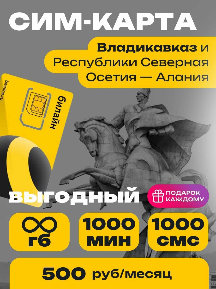 Сим-карта Билайн тариф Выгодный Республика Северная Осетия-Алания Безлимитный интернет и 1000 минут за 500 руб.