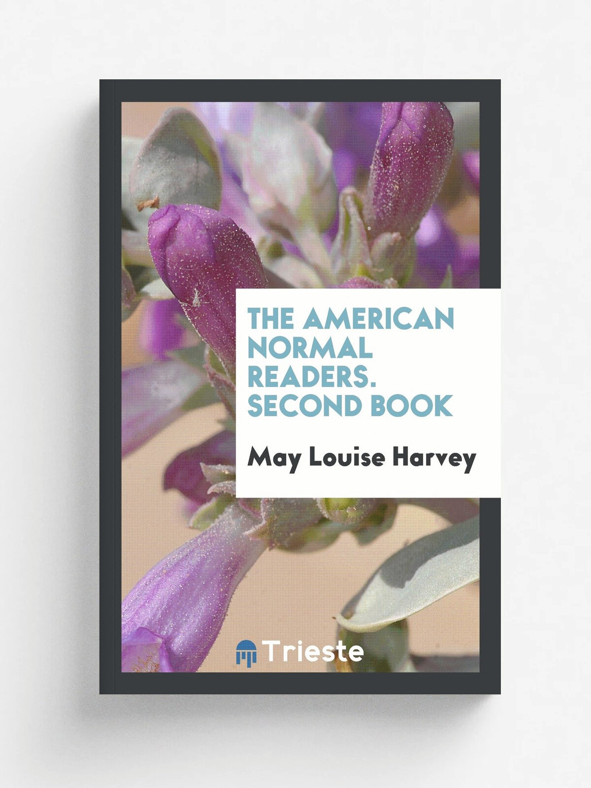 The American Normal Readers. Second Book