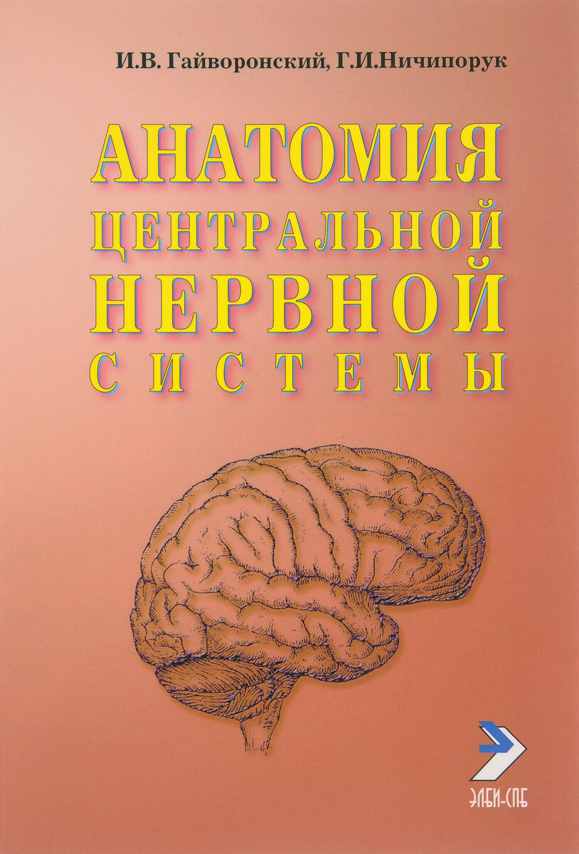 Анатомия центральной нервной системы