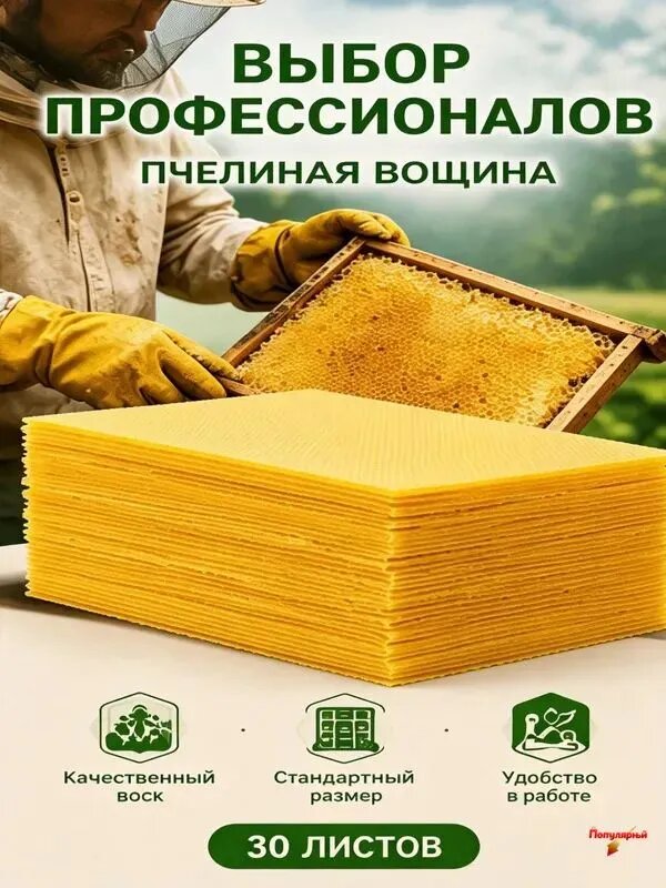 Вощина натуральная из пчелиного воска Дадан 30 листов, основа для пчел и свечей
