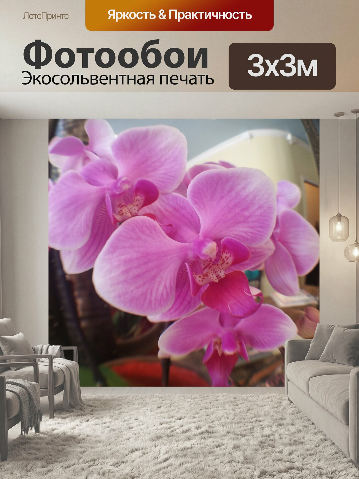 Фотообои "Орхидеи крупным планом Розовые цветы орхидеи крупным планом розовый орхидеи крупным планом цветы тропические" 300x300 см. экосольвентная печать