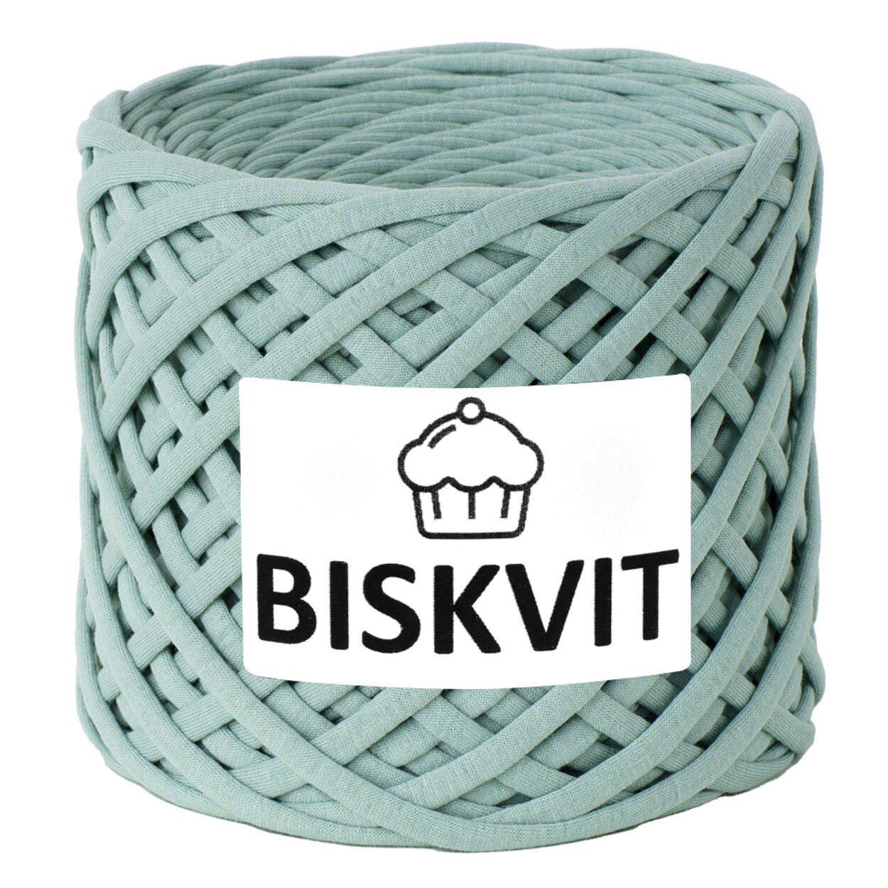 Пряжа Бисквит, Biskvit трикотажная, 330г, 100м, 100%хлопок, (Мятное суфле) (3189) 1 шт