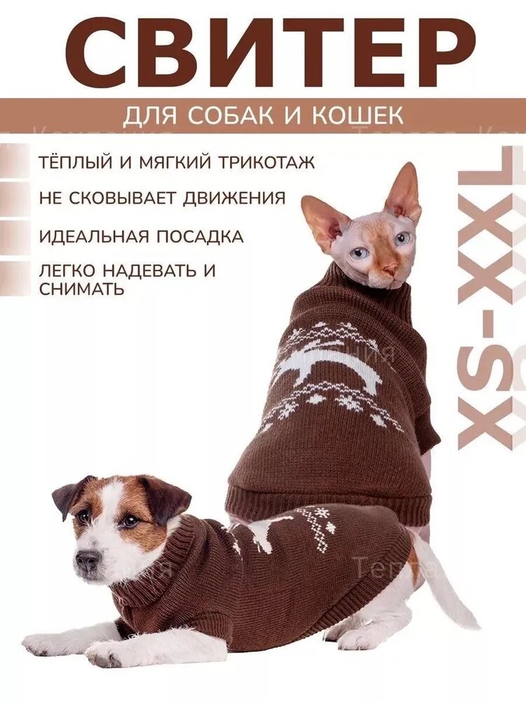 Одежда для животных