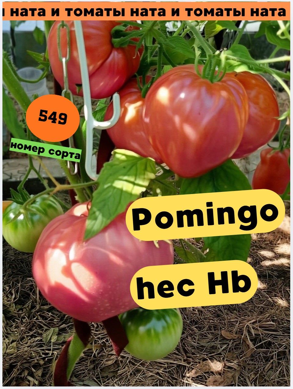 Семена томата Pomingo hec (Коллекционный )10 шт