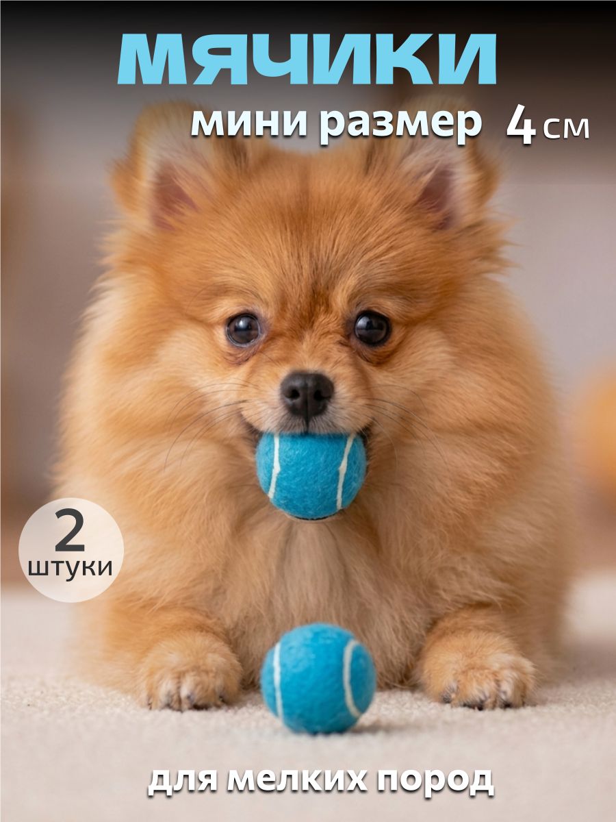 Мячики для собак мелких пород