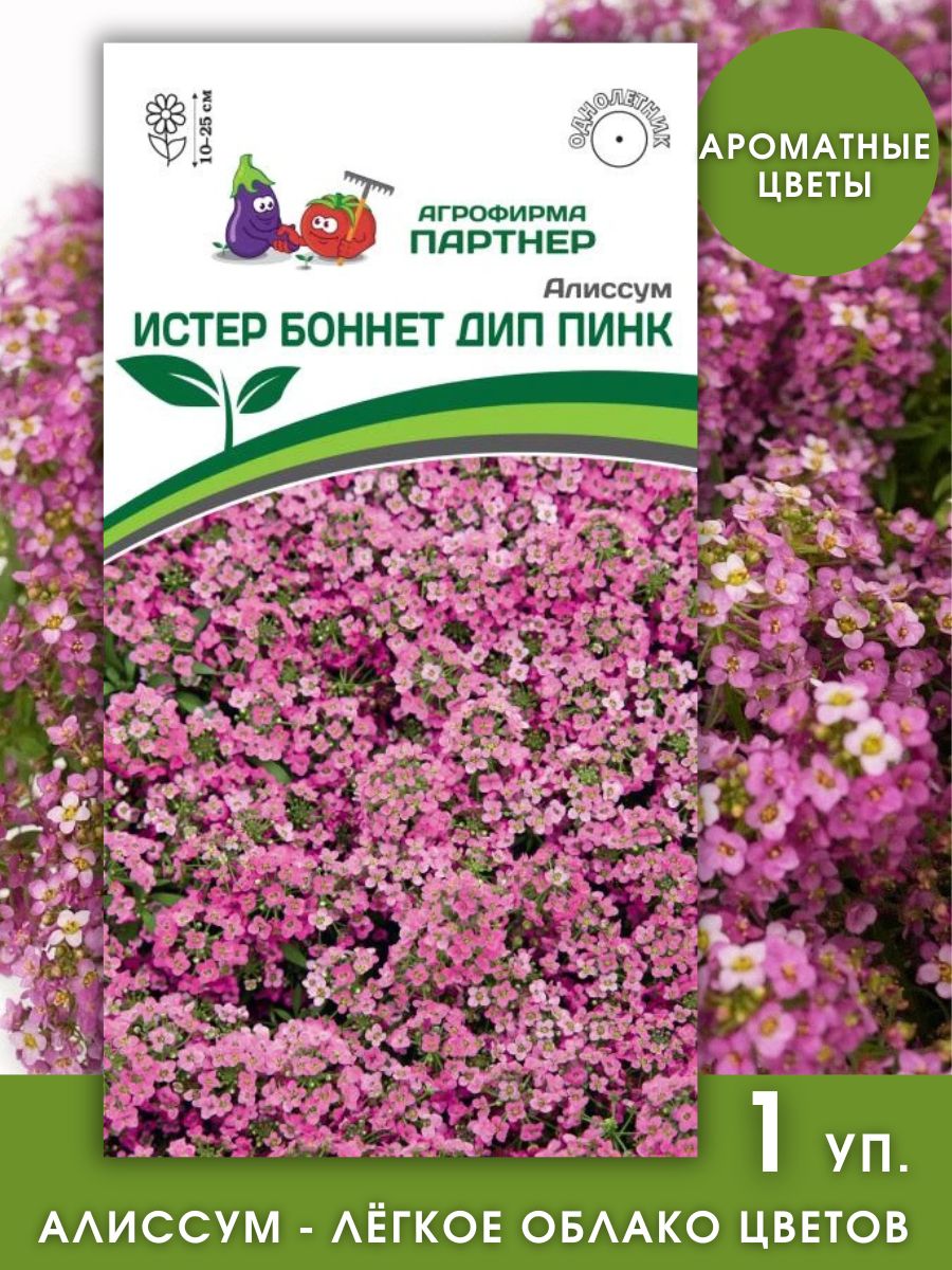 Семена цветов алиссум