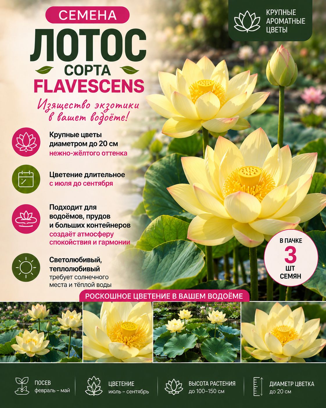 Лотос Люцзян (Flavescens), семена 2026