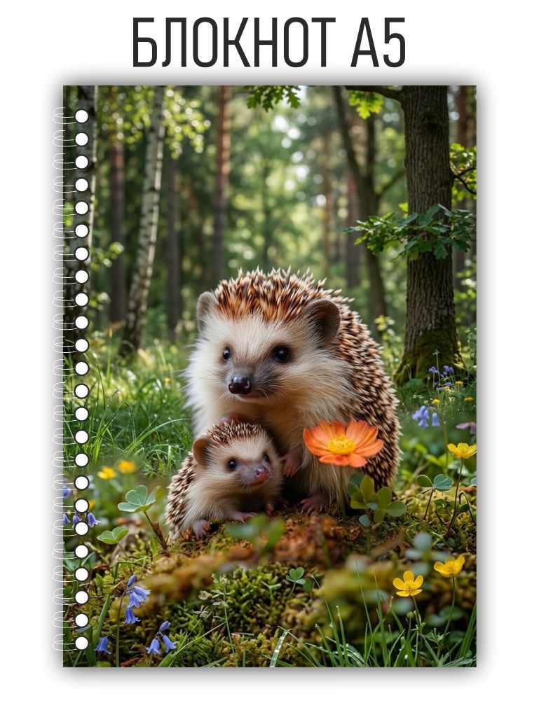Блокнот А5 Животные, Ёжик, Ежик, Hedgehog (1)