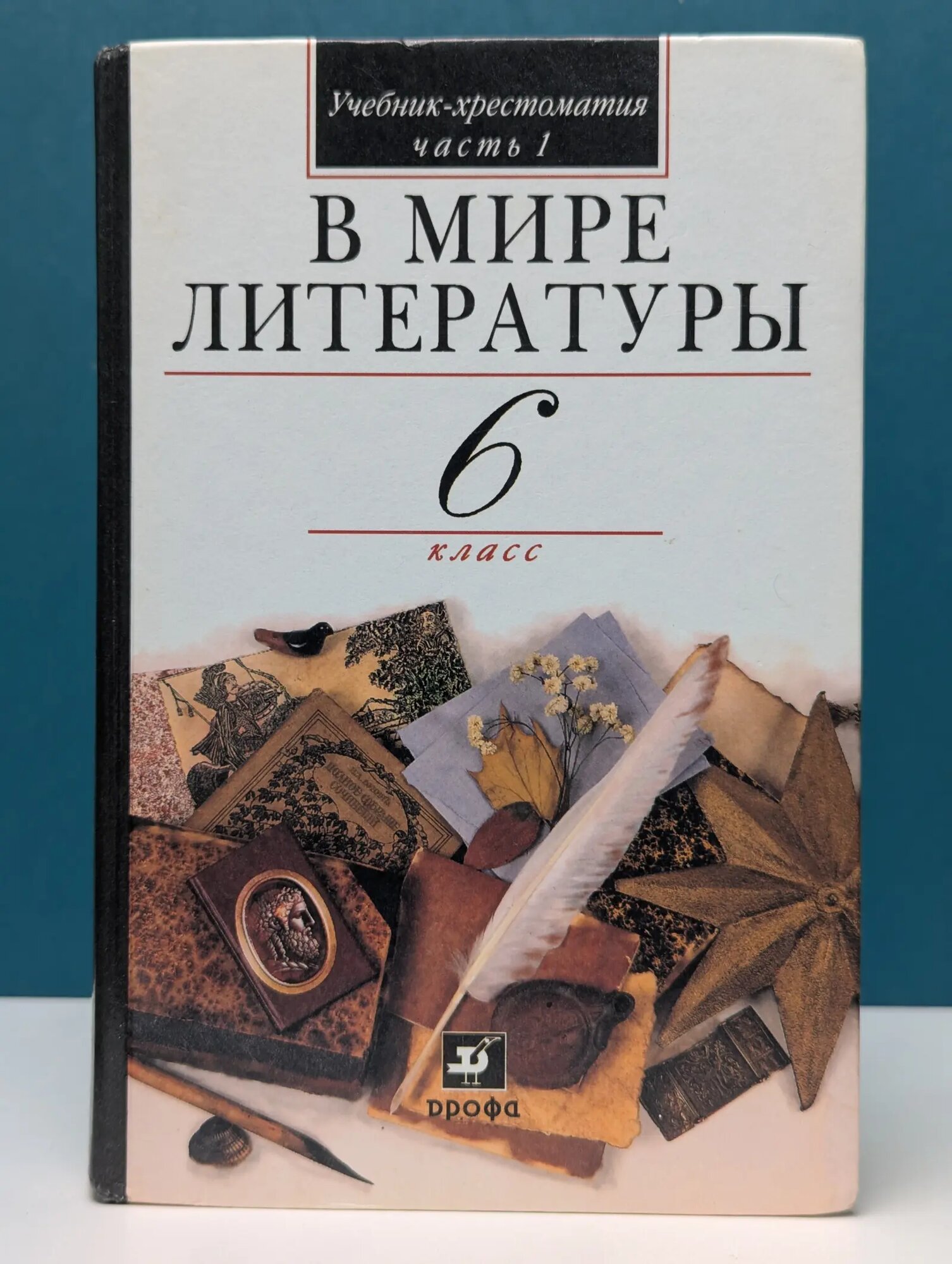 В мире литературы. 6 класс. Учебник - хрестоматия Романичева Елена Станиславовна, Кутузов Александр Геннадиевич, Леденева Виктория Владимировна 2001