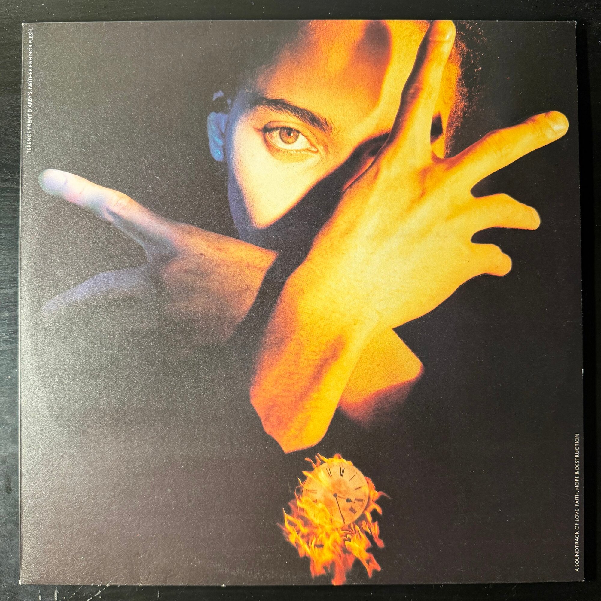 Виниловая пластинка Terence Trent D'Arby Terence Trent D'Arby's Neither Fish Nor Flesh (Голландия 1989г.)