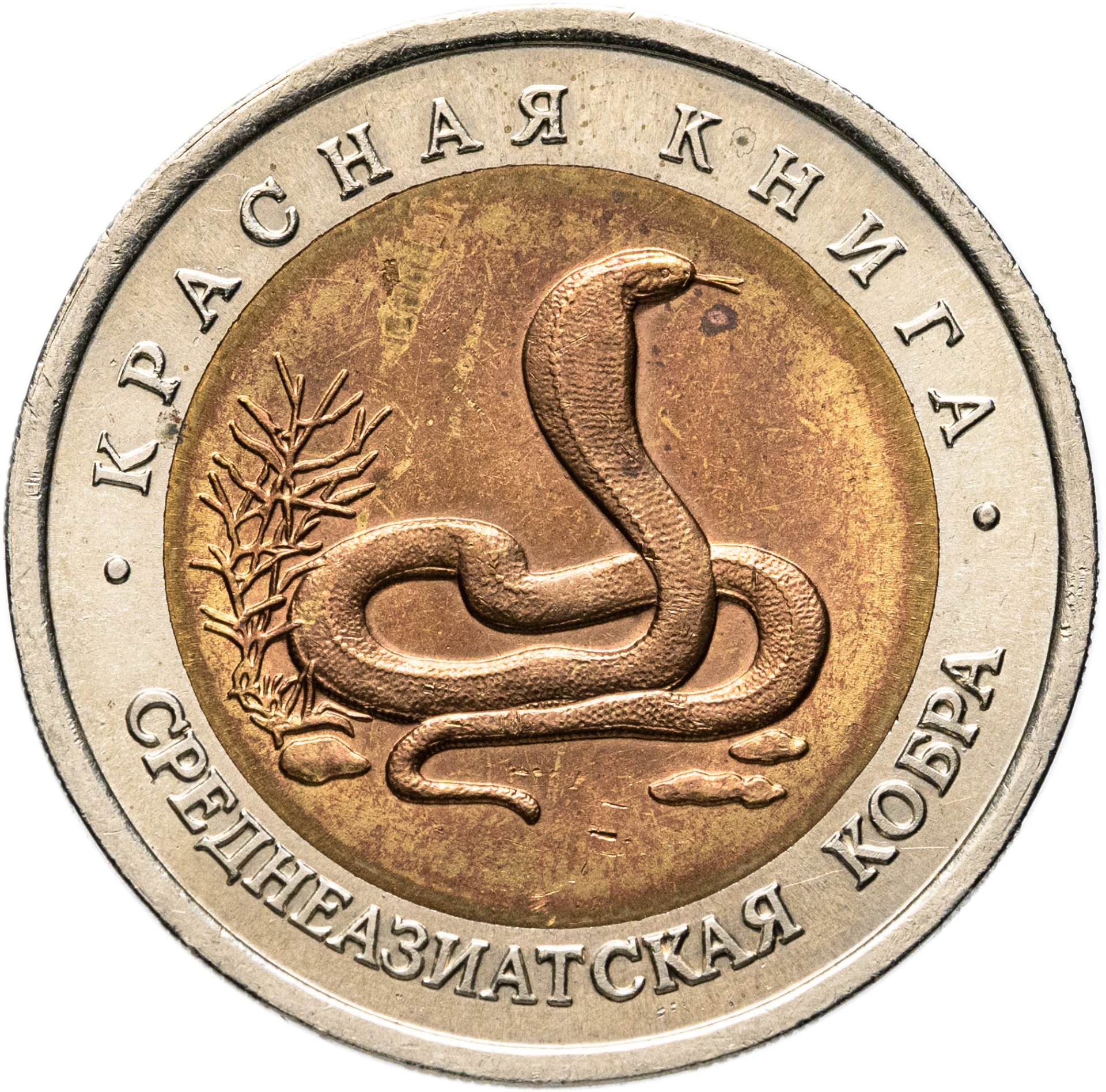 10 рублей 1992 ЛМД среднеазиатская кобра, Биметалл, в сохранности AU-UNC