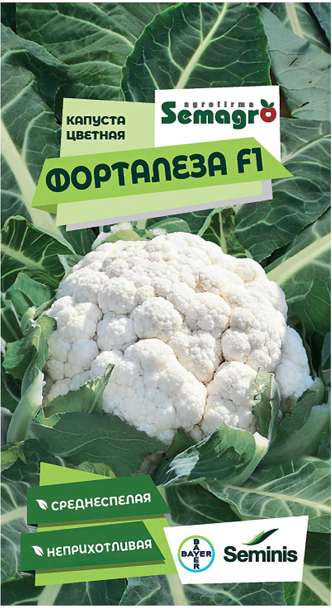 Семена цветной капусты SEMINIS форталеза F1