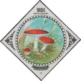 (1985-061) Марка Монголия "Цезарский гриб" Грибы III