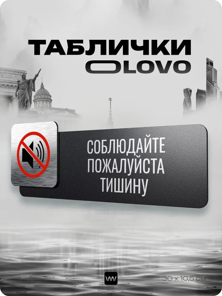 Информационный указатель "Соблюдайте тишину" на дверь, на стену, с металлической серебристой вставкой, для офиса, общественного места, гостиницы, отеля, хостела, OLOVO/олово SLV, Айдентика Технолоджи