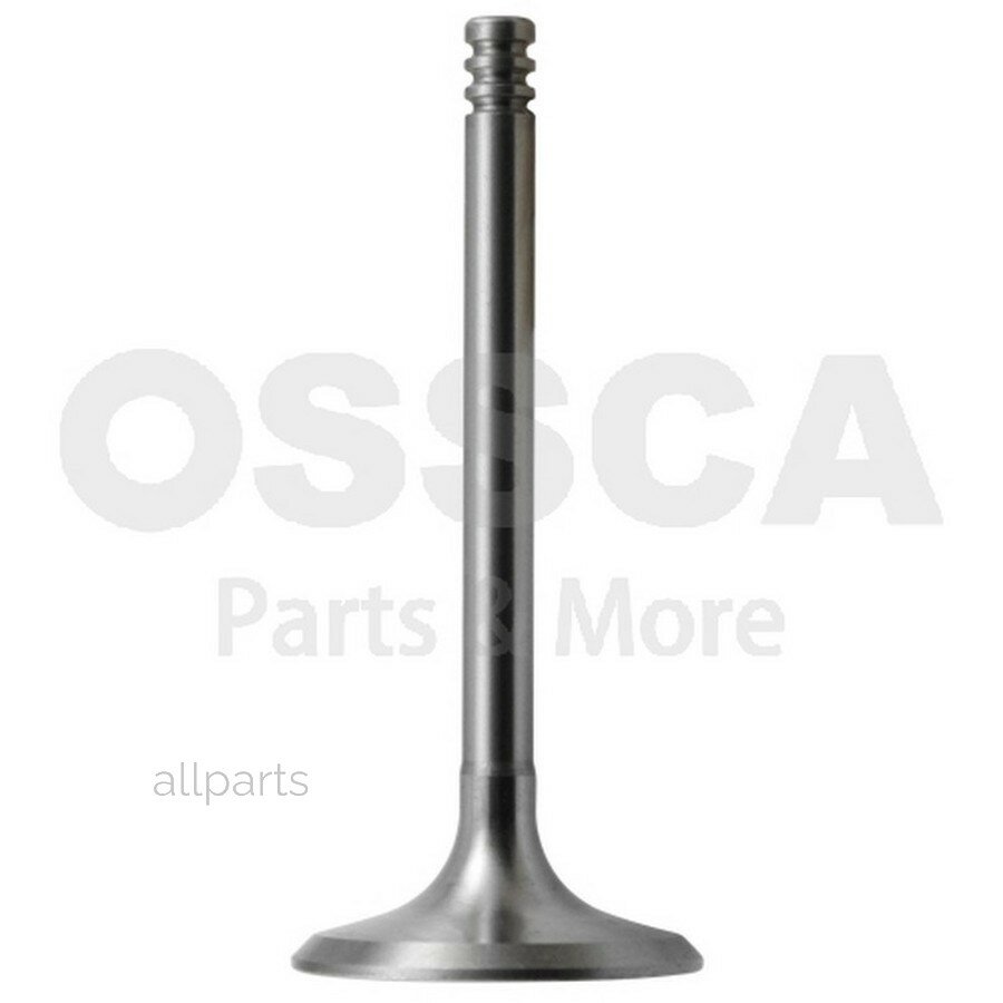 OSSCA 05891 05891 клапан головки блока, выпускной / AUDI, VW, SKODA 1.8-3.0 95~