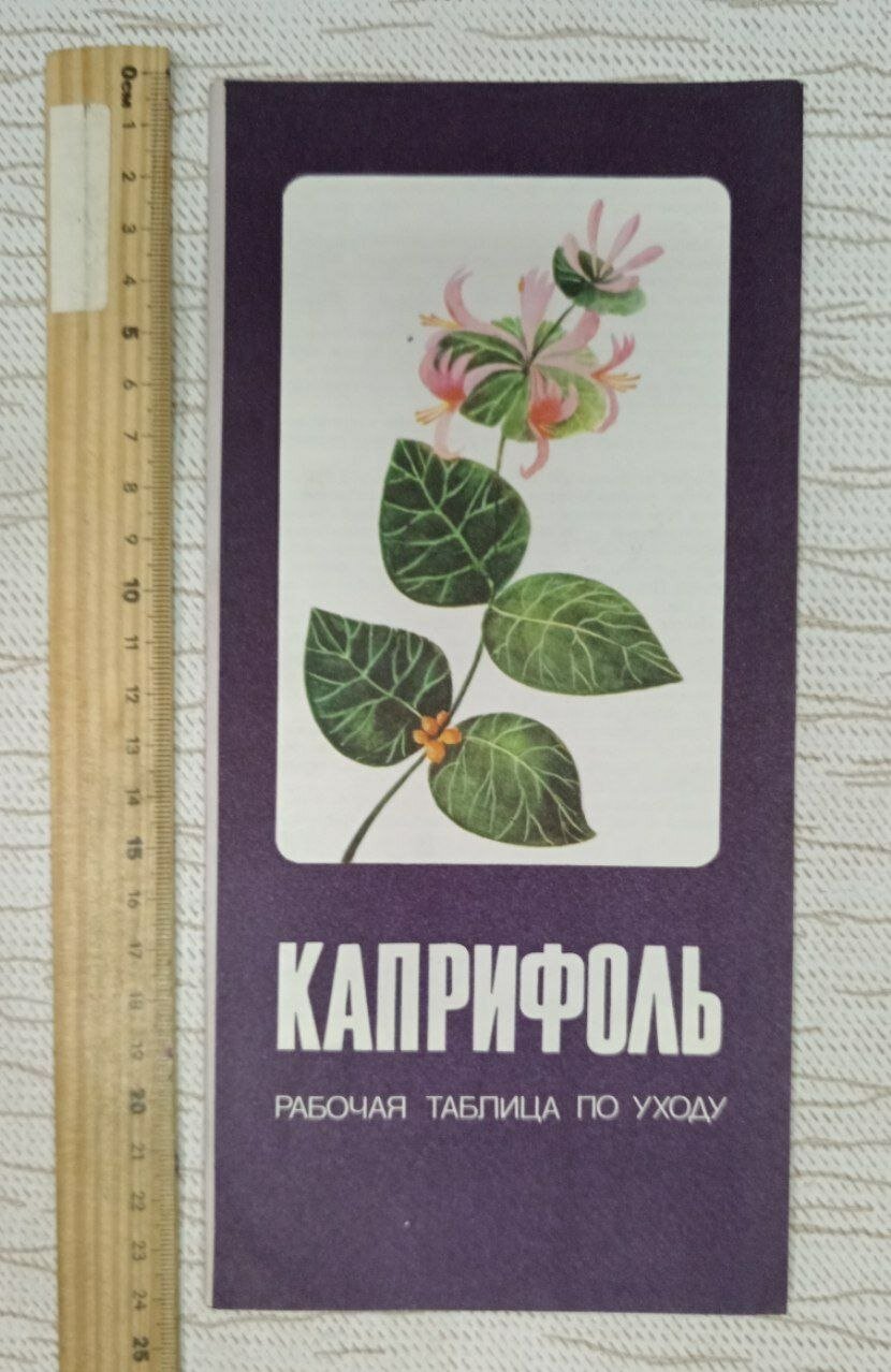 Каприфоль. Рабочая таблица по уходу