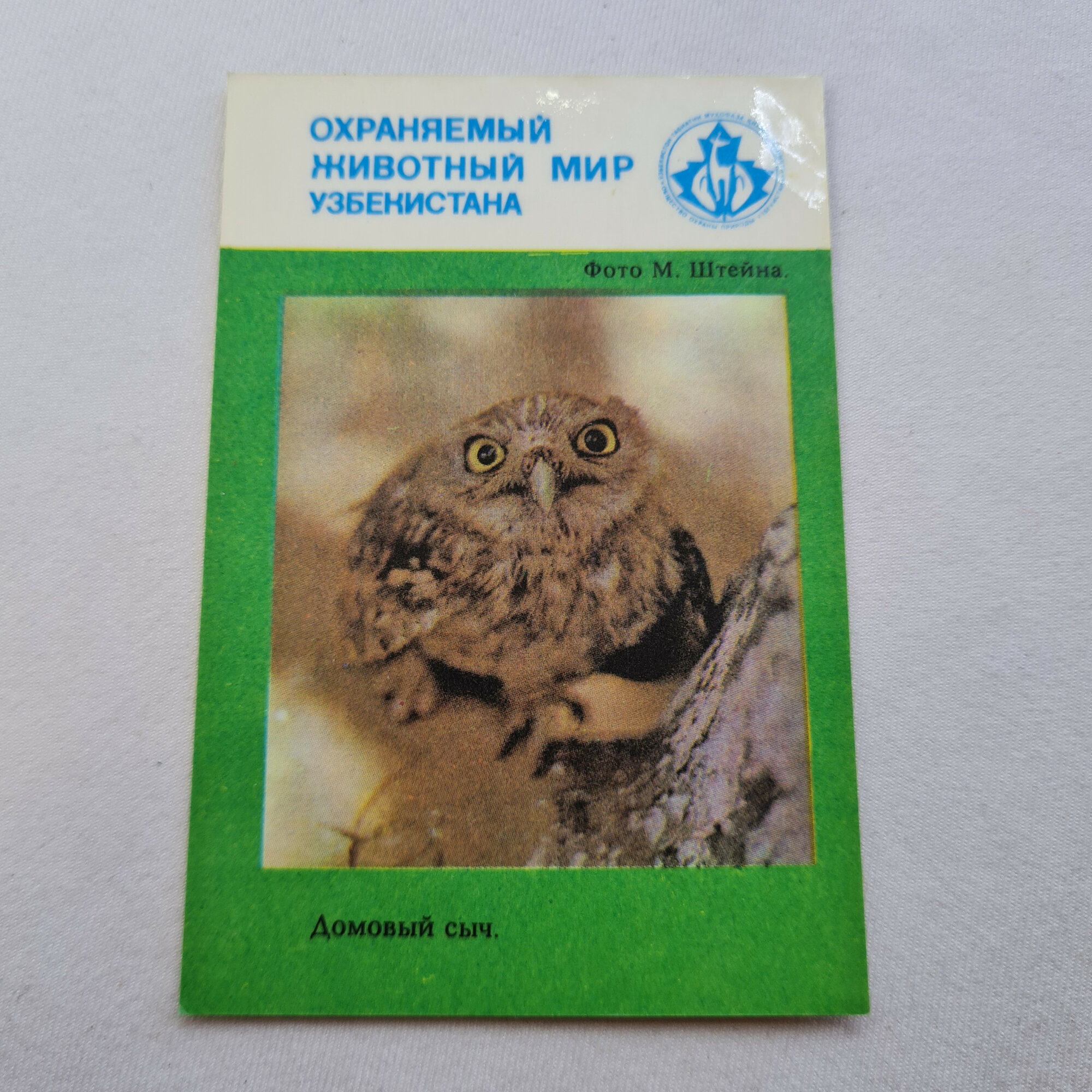 Карманный календарик СССР 1989. Охраняемый животный мир Узбекистана, домовый сыч. Советский календар