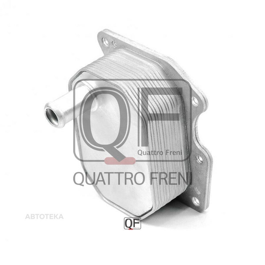 Радиатор масляный FORD TRANSIT 06- QUATTRO FRENI QF55A00026