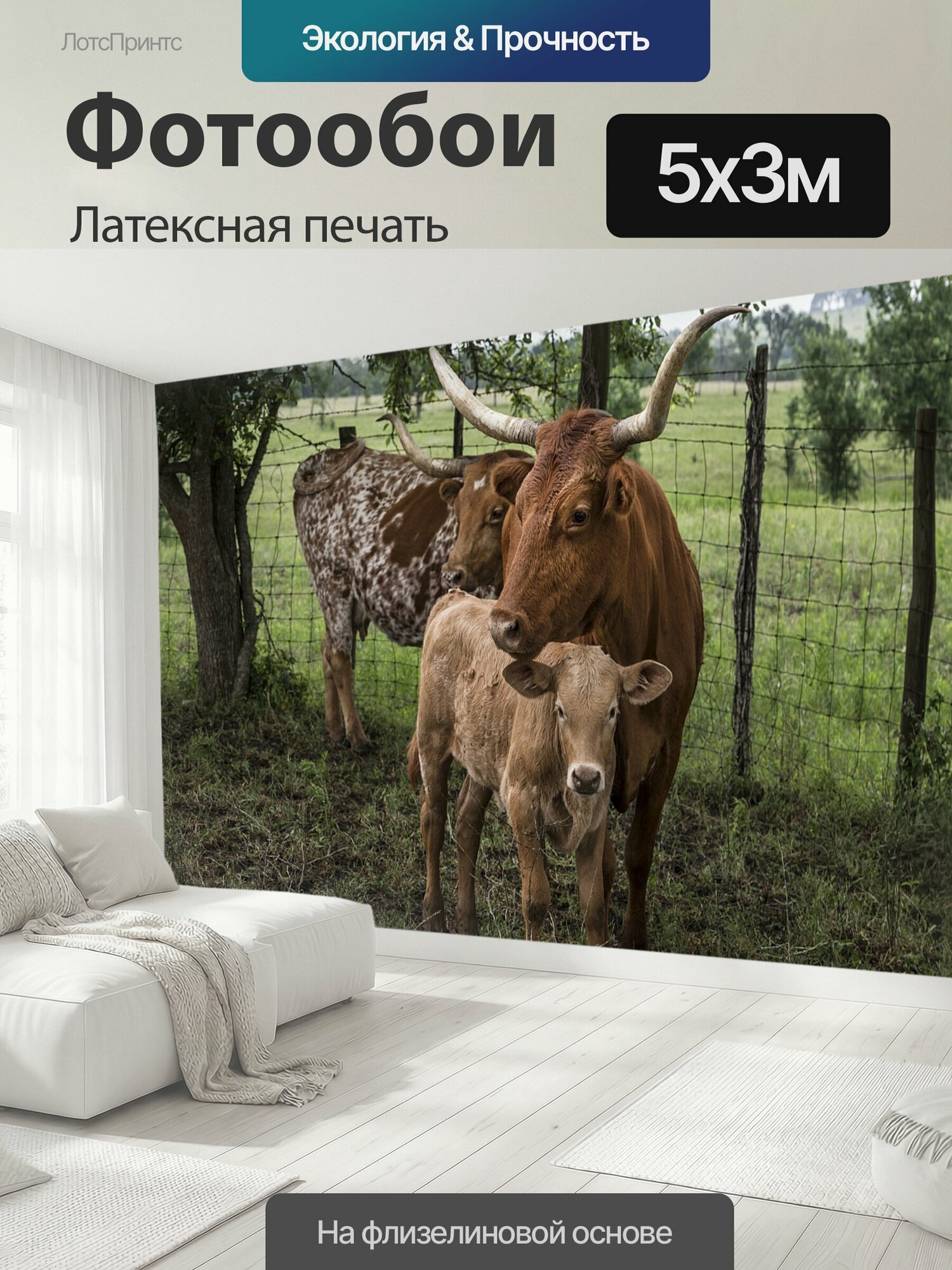 Фотообои моющиеся ударопрочные "Крупный рогатый скот Longhorn Теленок и Корова крупный рогатый скот дровосеков Телец корова ковбои остальное." 500x300 см. латексная печать