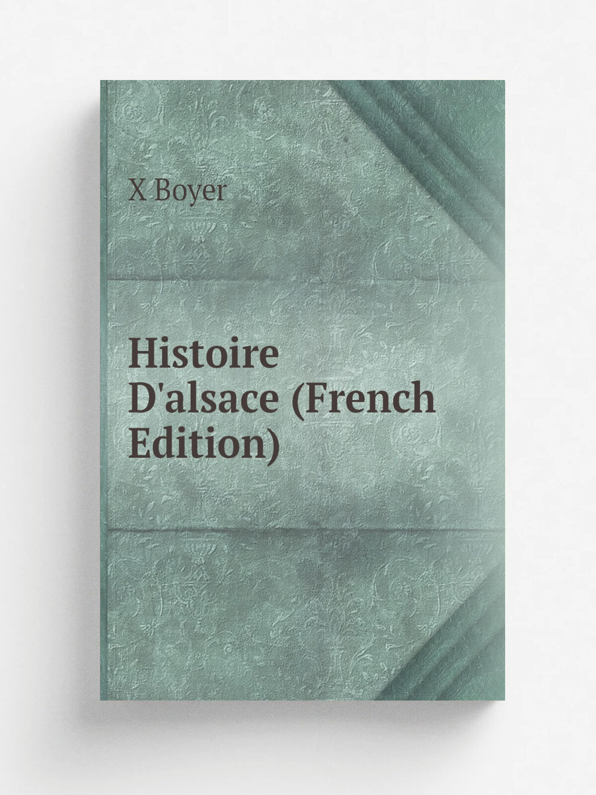 Histoire D'alsace (French Edition) | X Boyer | Репринт