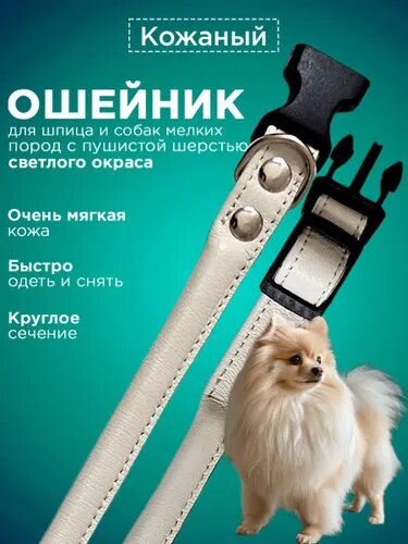 Ошейник для шпица круглый кожаный, ошейник для пушистых собак