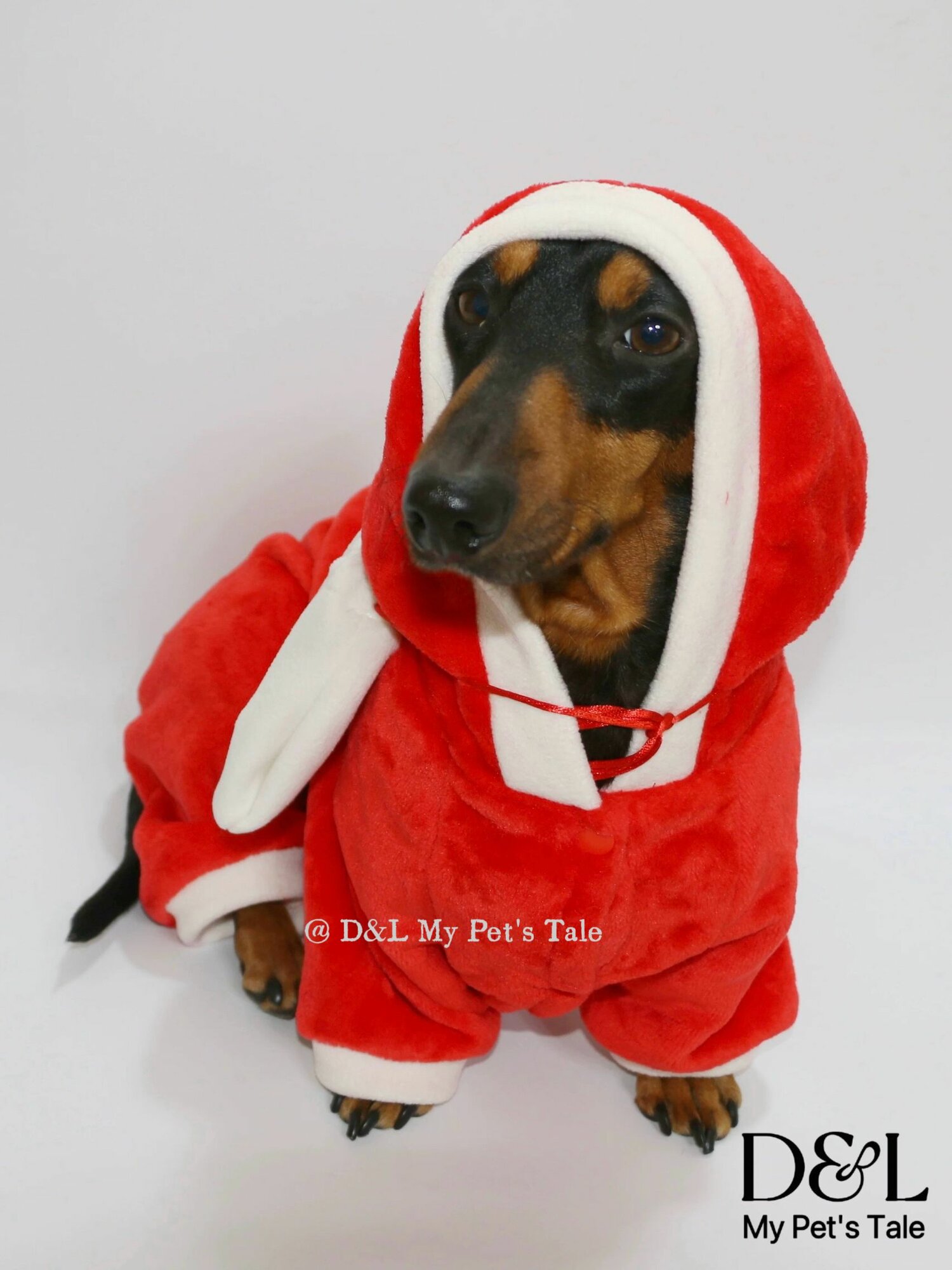 D&L My Pet's Tale Комбинезон для собак новогодний, красный флис, с капюшоном и помпоном, белая отделка на талии, сумочка-ёлочка, четыре лапы, размеры XSXL
