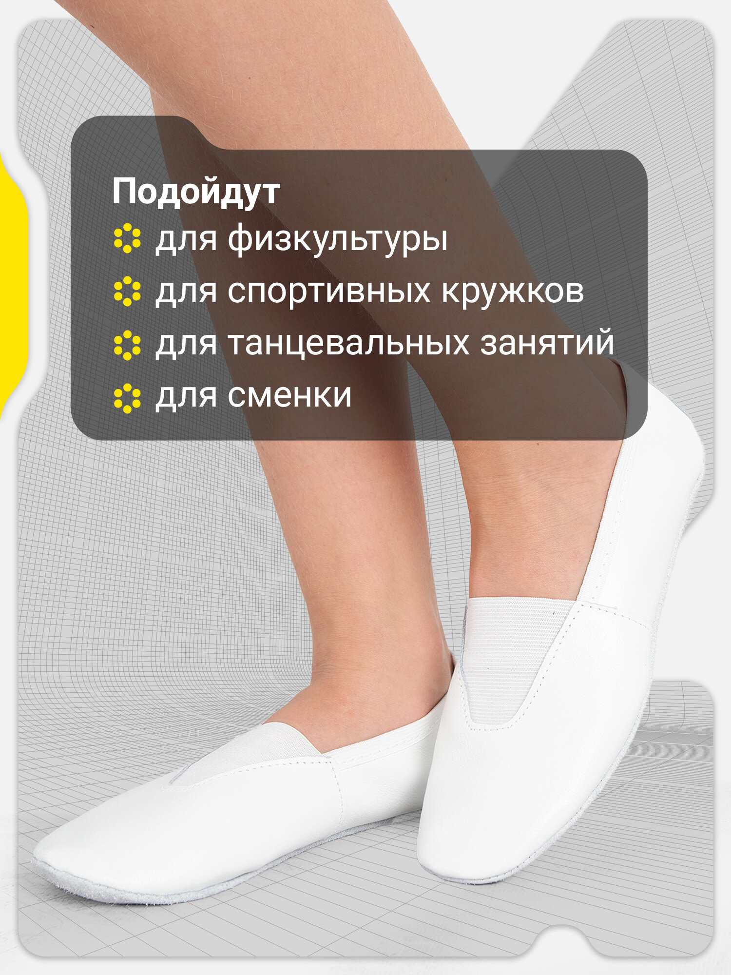Чешки GSD