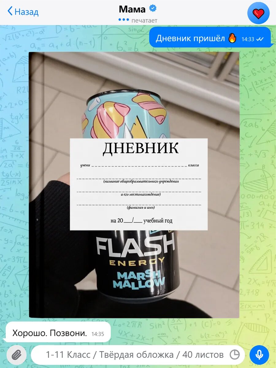 Школьный дневник с принтом Роблокс
