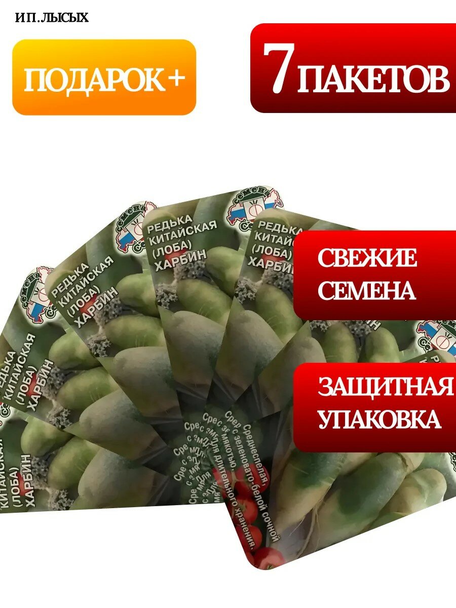 Семена Редька Китайская "Лоба Харбин"