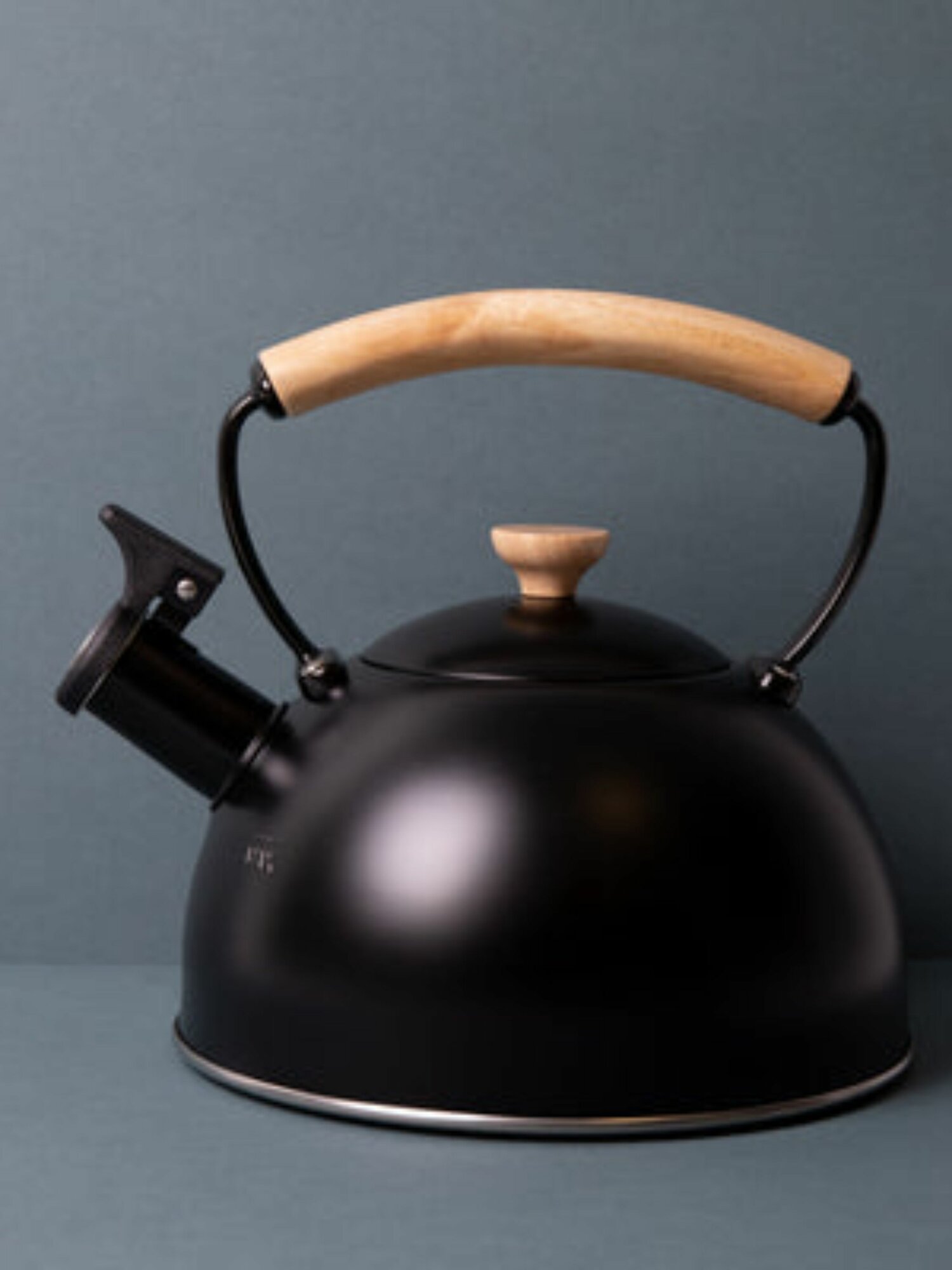 Kitchen Craft Чайник со свистком 1,6 л металлический с деревянной ручкой La Cafetire