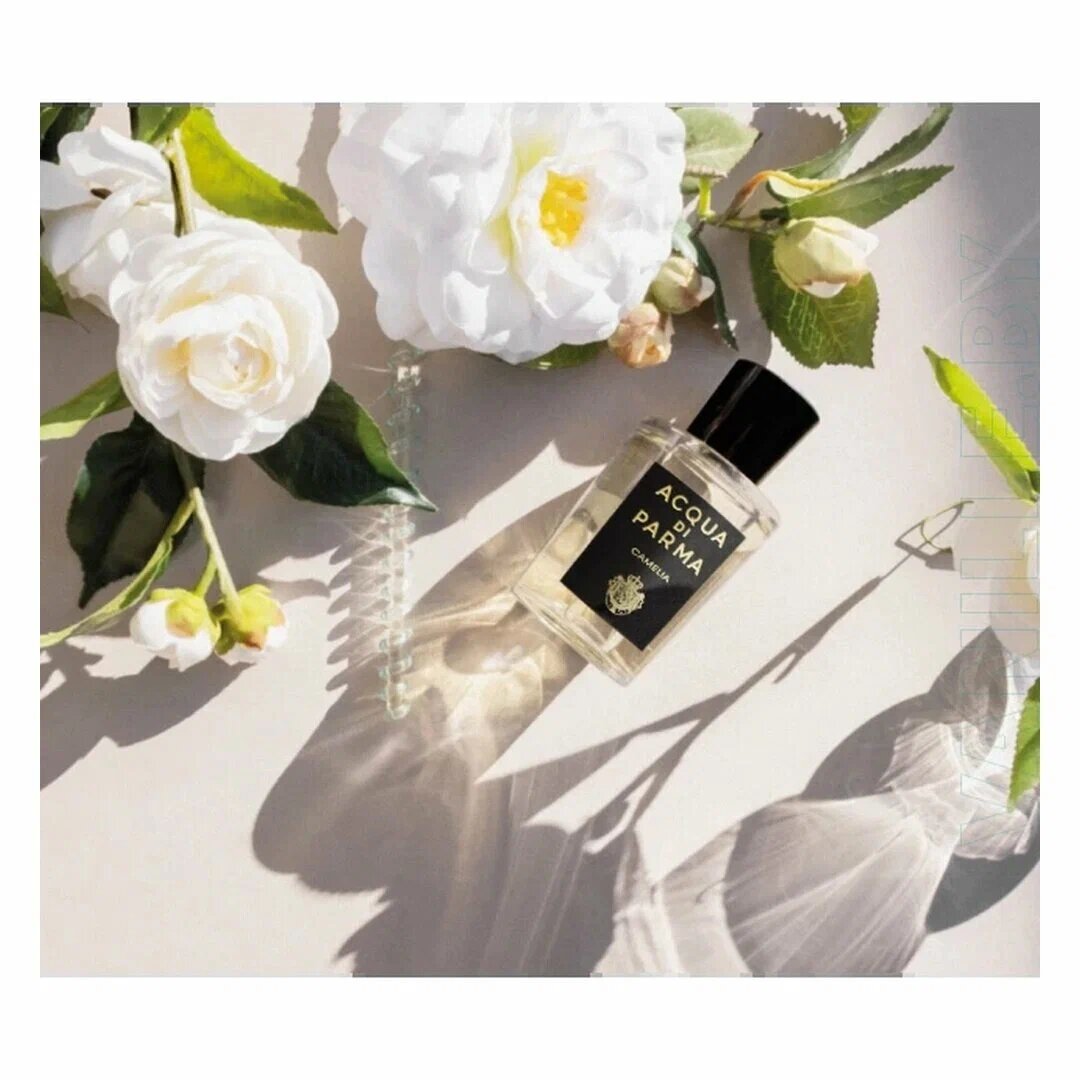ACQUA DI PARMA Camelia Eau de Parfum Парфюмерная вода для мужчин и женщин 100 ml