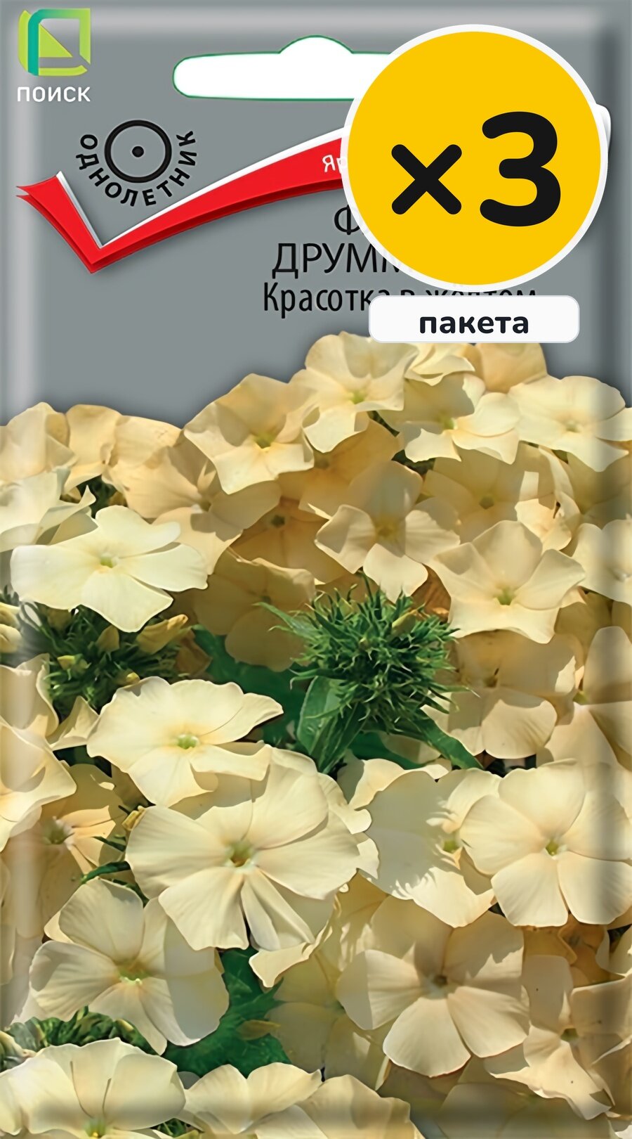 Семена флокса Друммонда Красотка в жёлтом, 0,1 г, 3 пакета, Поиск, однолетник, высота до 25 см