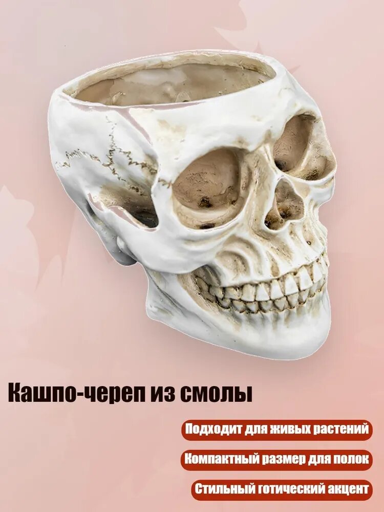 Кашпо 5 см, 1 шт, цвет разноцветный