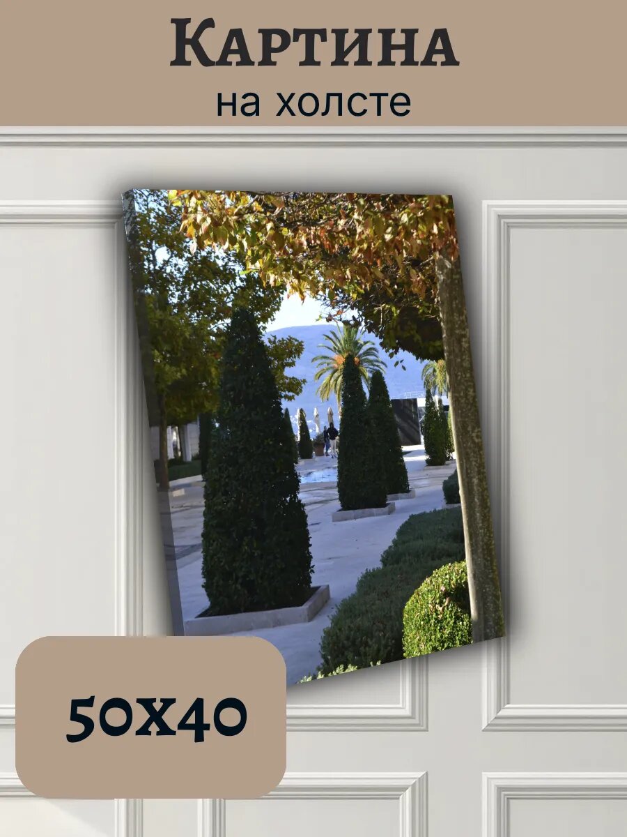 Картина Черногория Montenegro 40x50 парковая аллея