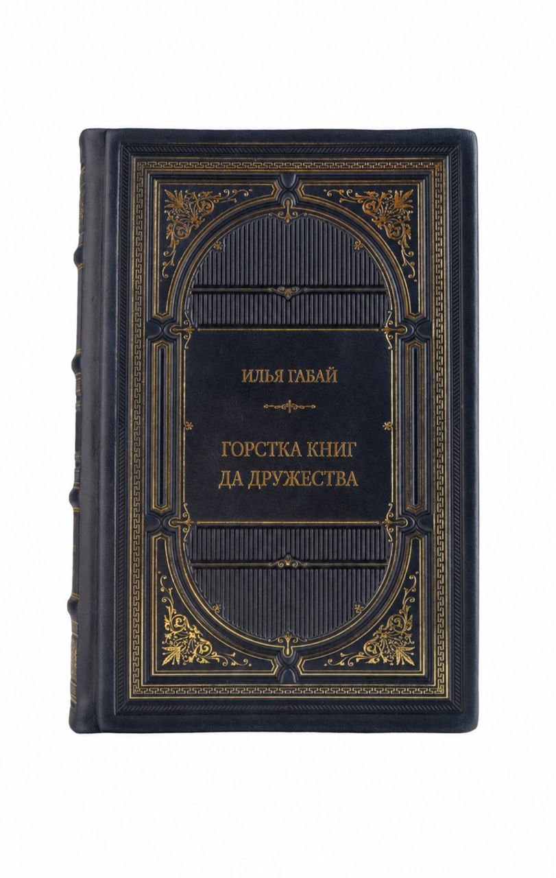 Илья Габай. Горстка книг да дружества