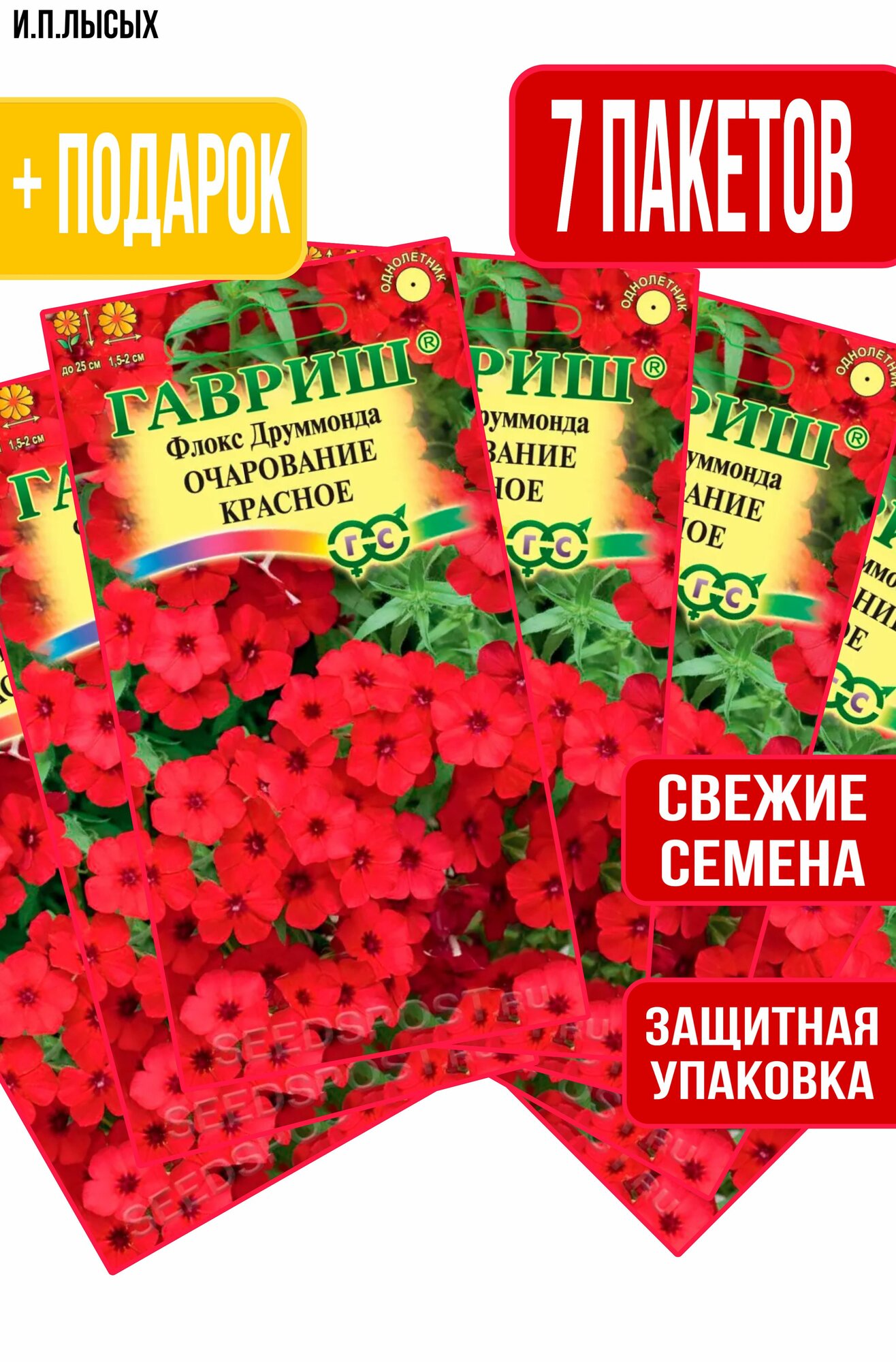 Семена цветов Флокс Очарование красное, друммонда