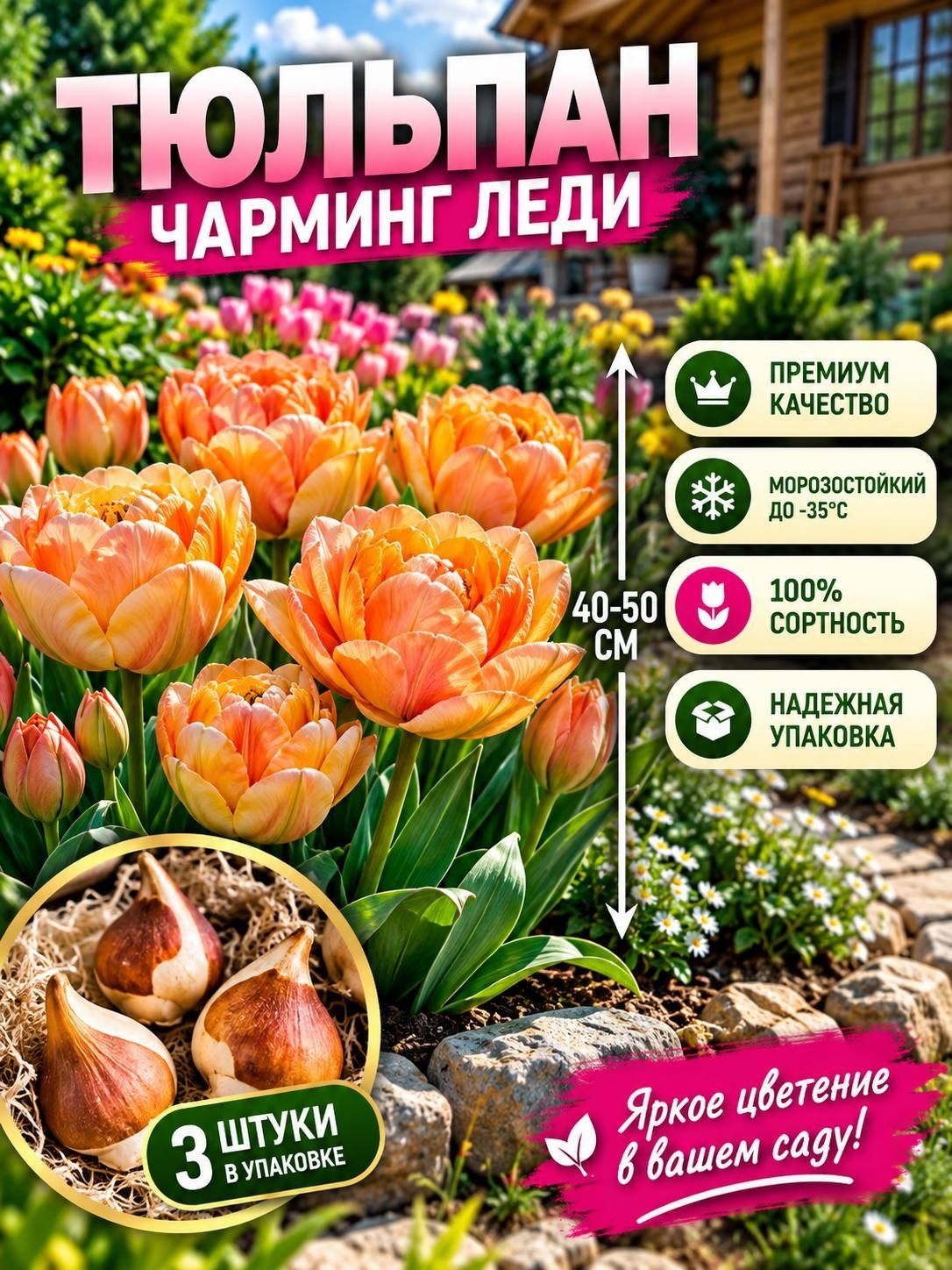 Луковицы тюльпана "Чарминг Леди" 3шт.
