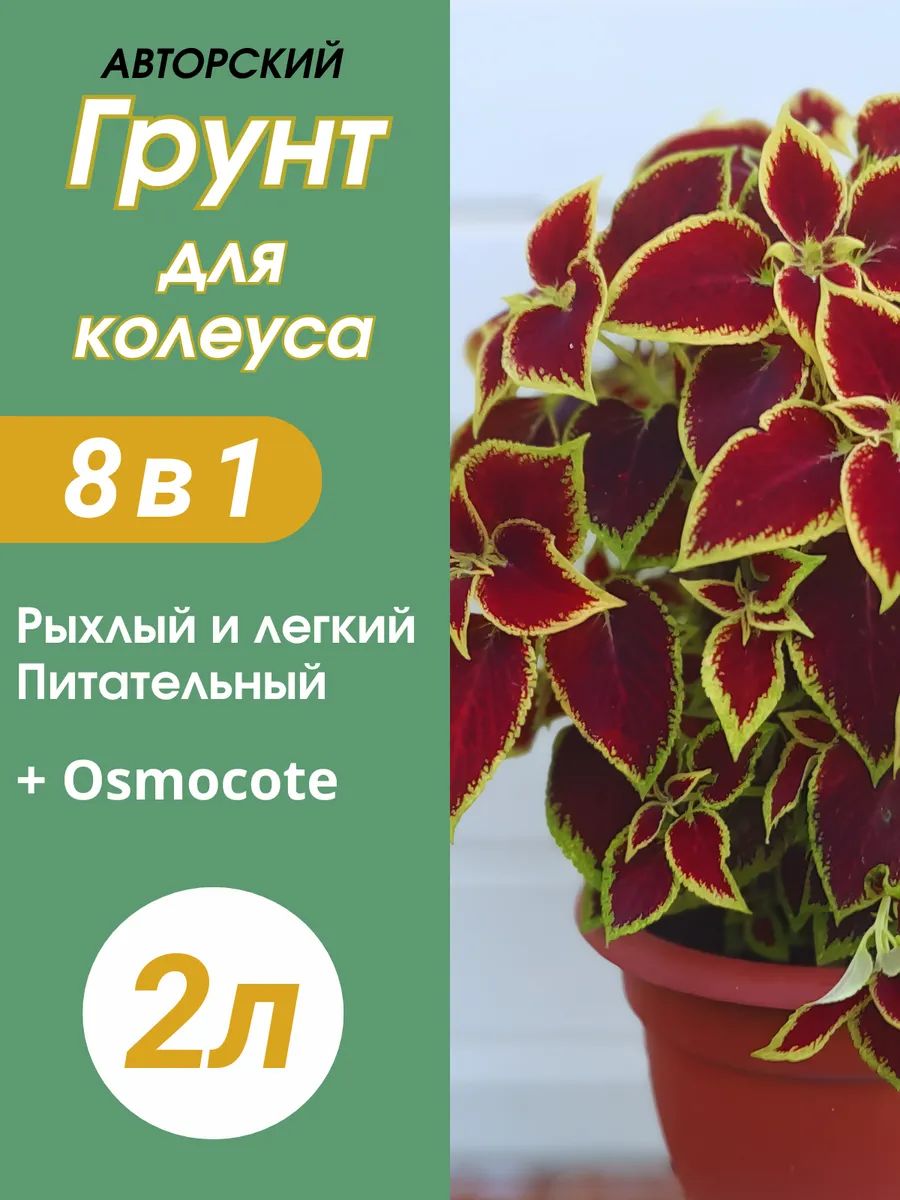 Грунт для Колеуса 2л готовый