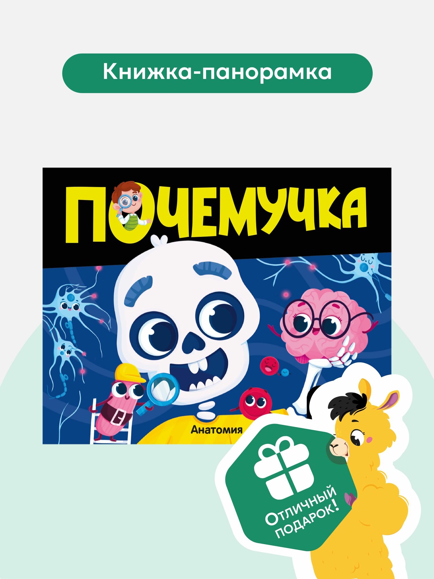 Книга детская для малышей с объемными картинками Анатомия. для дошкольников
