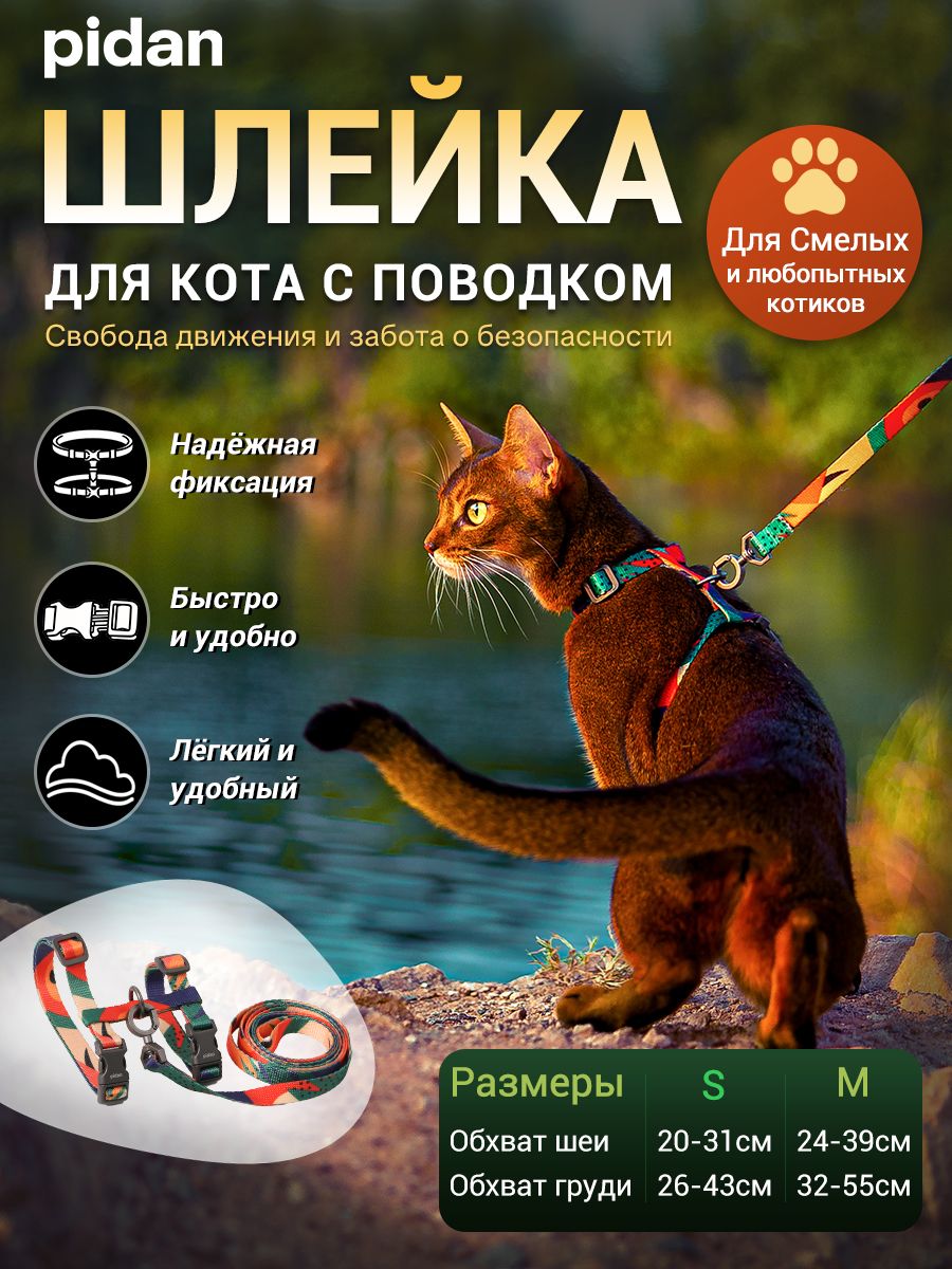 Подтяжки