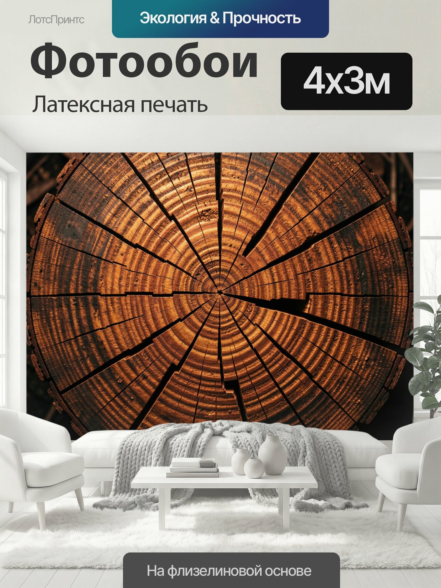 Фотообои моющиеся ударопрочные "Срез древесины с годичными кольцами. Крупный план спила дерева с выразительной текстурой, концентрическими линиями." 400x300 см. латексная печать