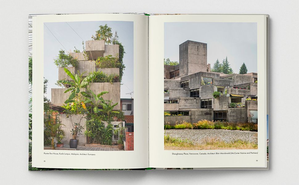 Brutalist Plants — фото 1