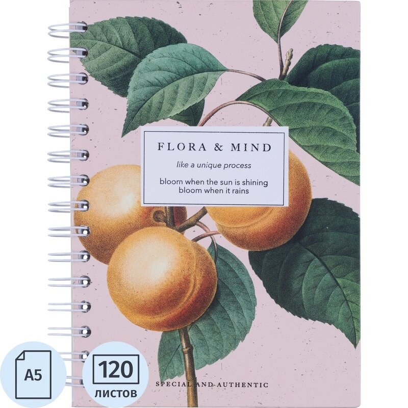 Бизнес-тетрадь, BS, А5, 120л, точка, твердый, спираль. Flora, персики N4211