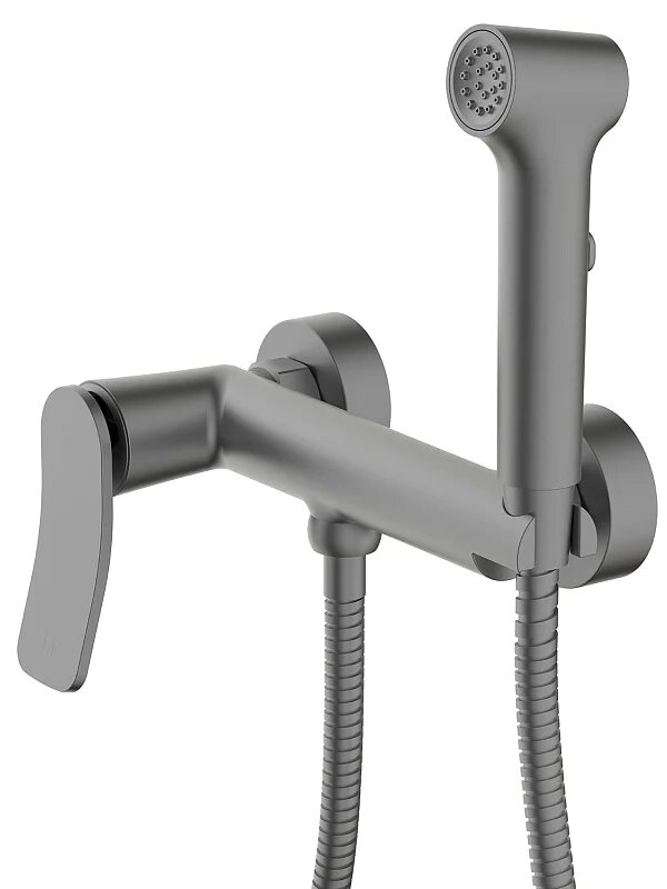 Гигиенический душ AZARIO Эскаро AZ-K2574GR матовый, латунь, рычажный, смеситель для биде