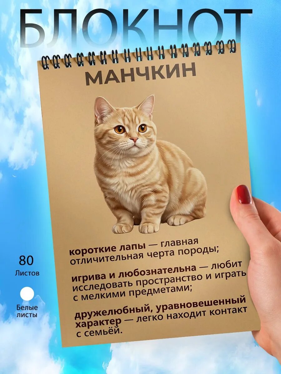 Блокнот А6 - Кошка - Манчкин